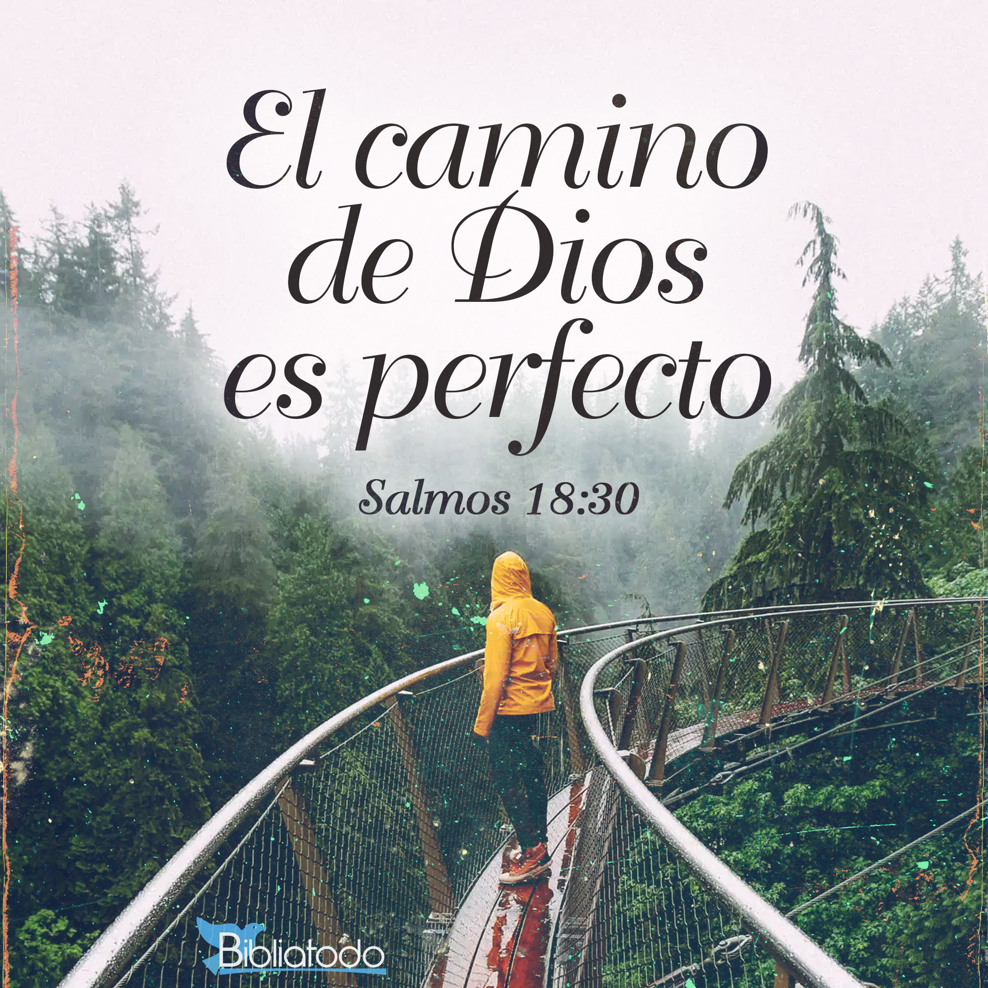 El camino de Dios es perfecto - IMAGENES CRISTIANAS