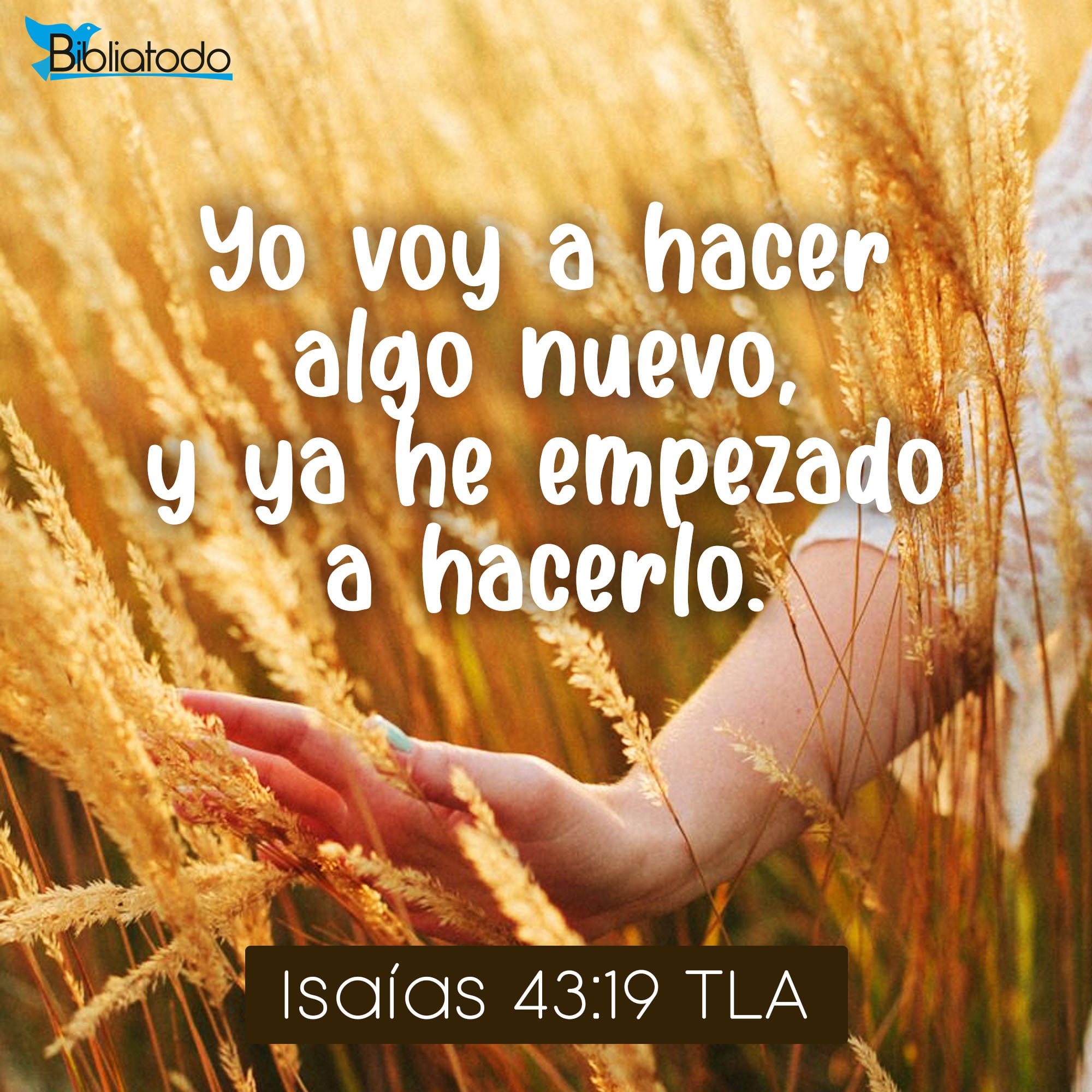 Yo voy a hacer algo nuevo - IMAGENES CRISTIANAS