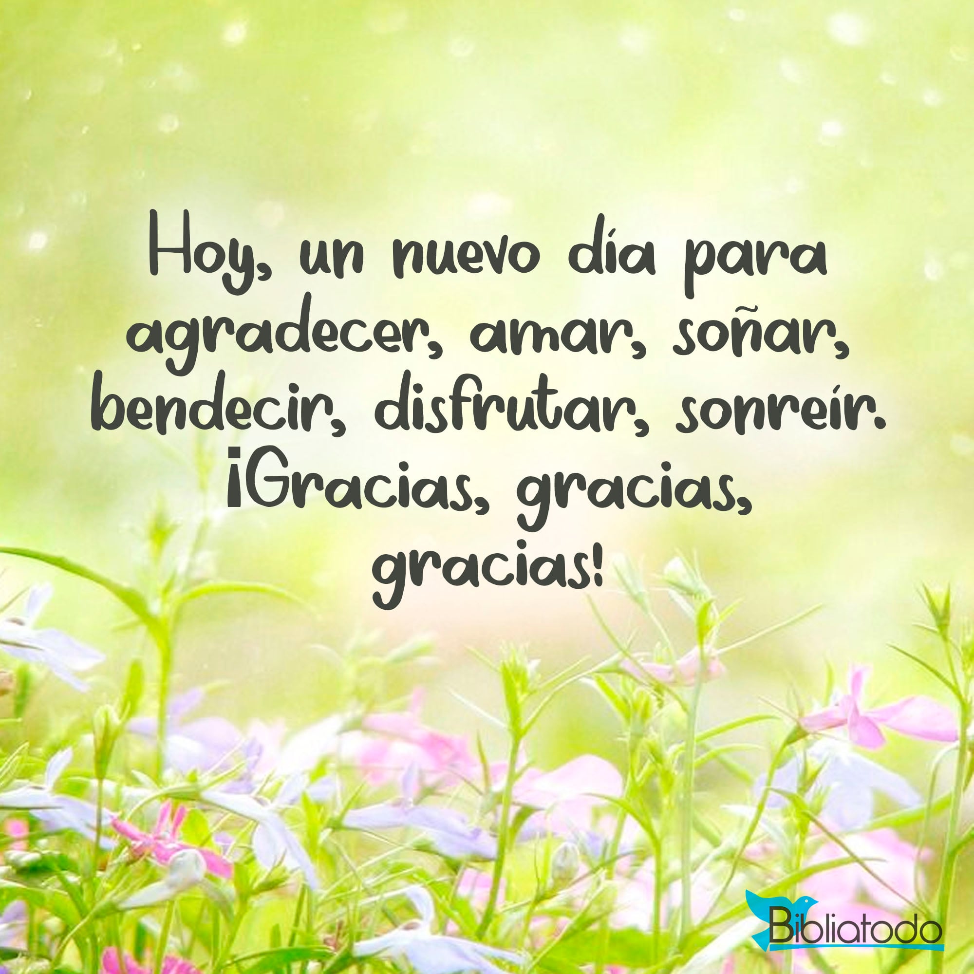 Imagenes De Agradecimiento