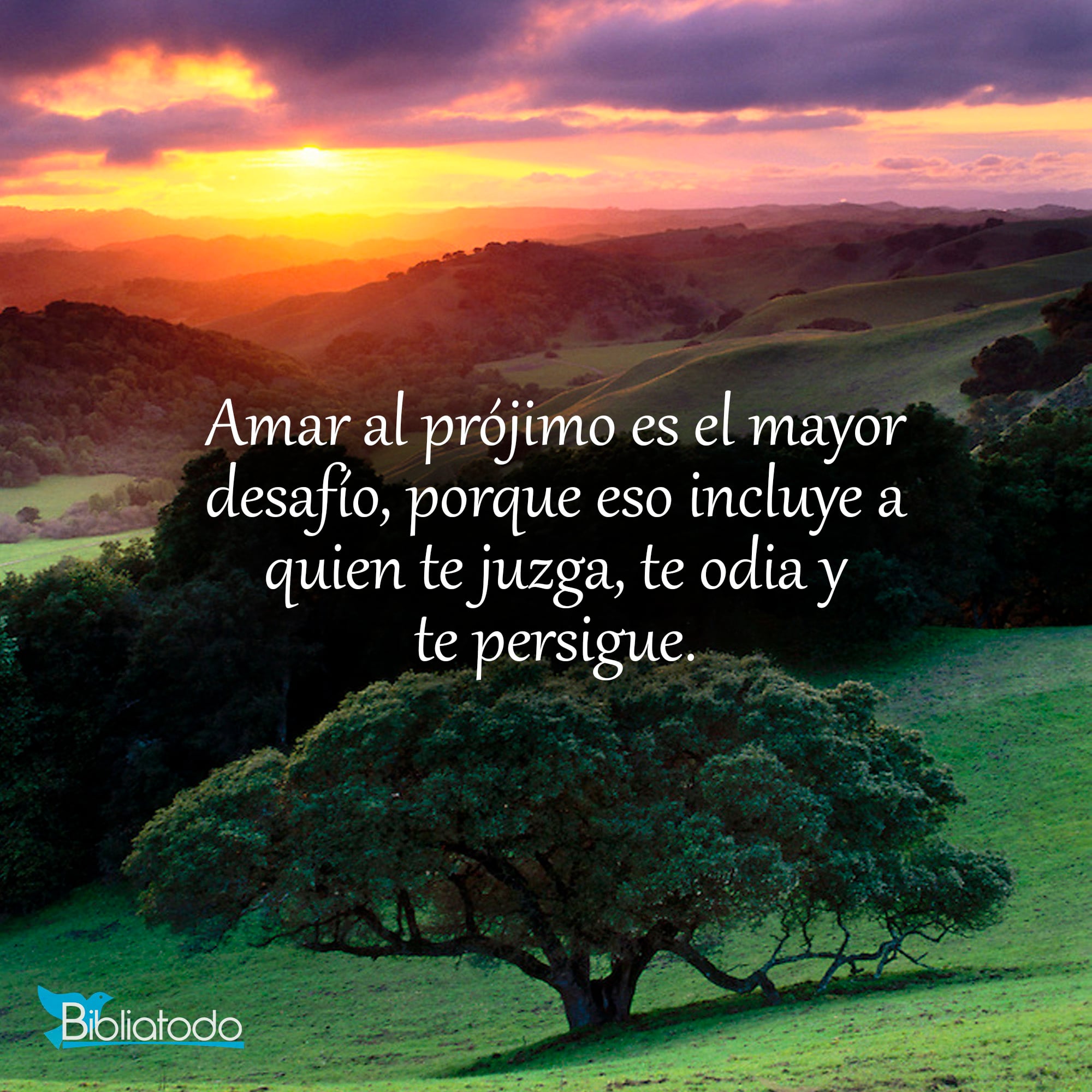 Amar al prójimo es el mayor desafío - IMAGENES CRISTIANAS