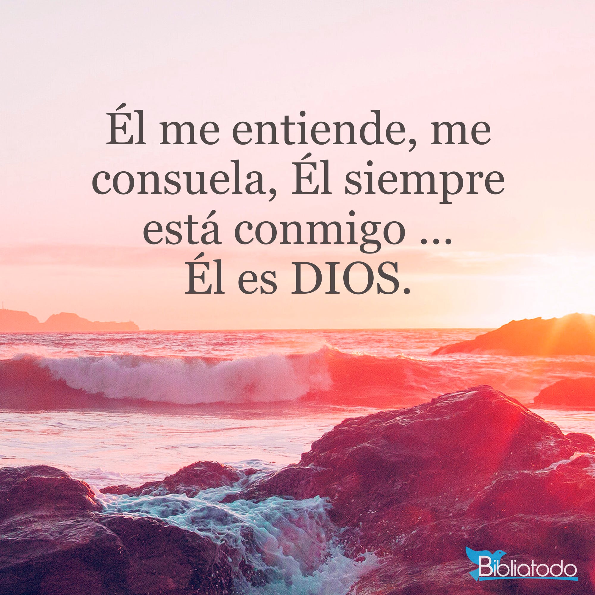 Dios Me Consuela Frases Desarrolla Tu Amistad Con Dios