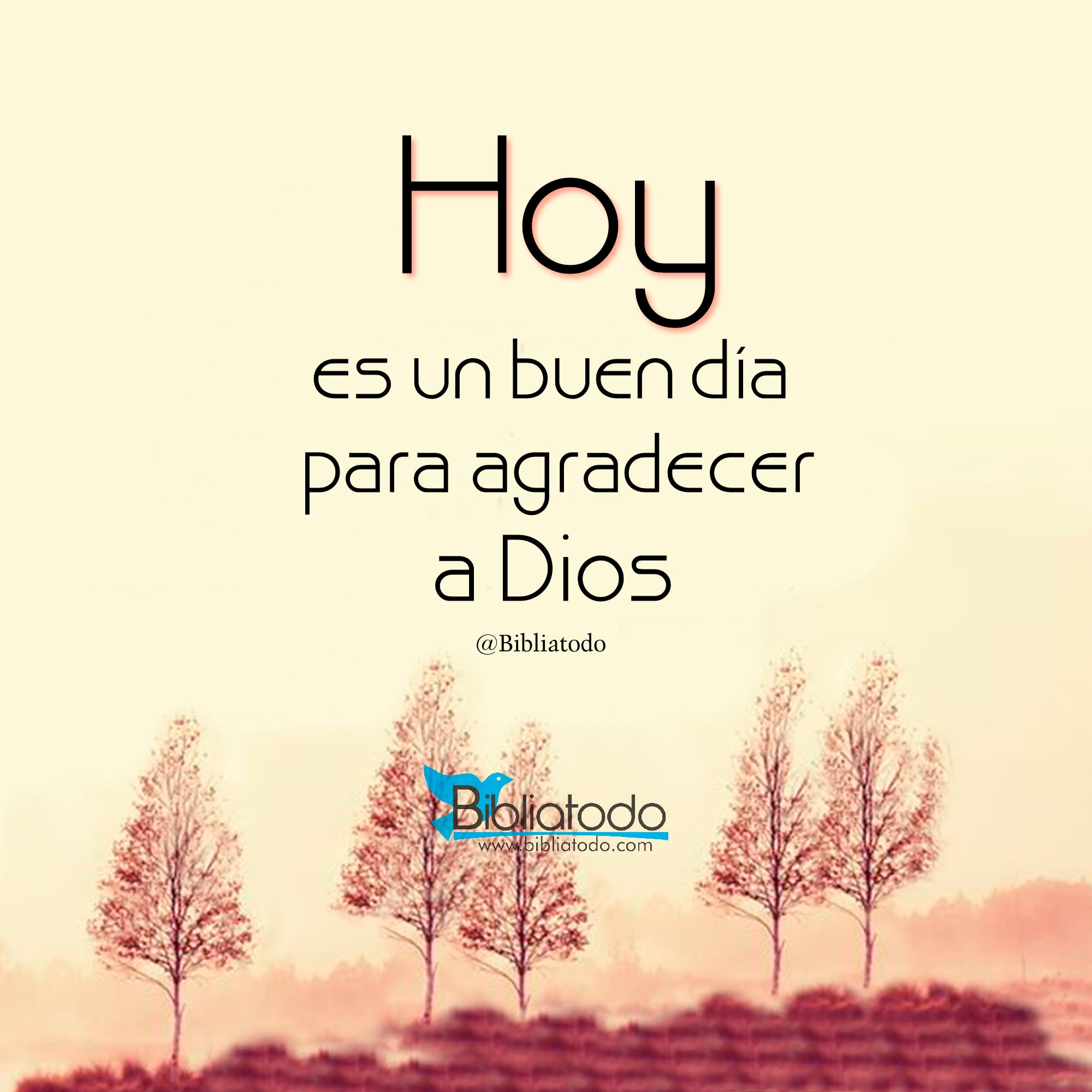 Hoy es un buen dia para agradecer - IMAGENES CRISTIANAS