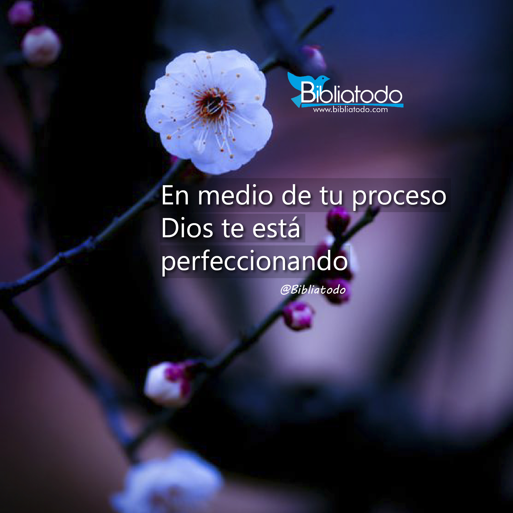 En medio de tu proceso Dios te está perfeccionando - IMAGENES CRISTIANAS