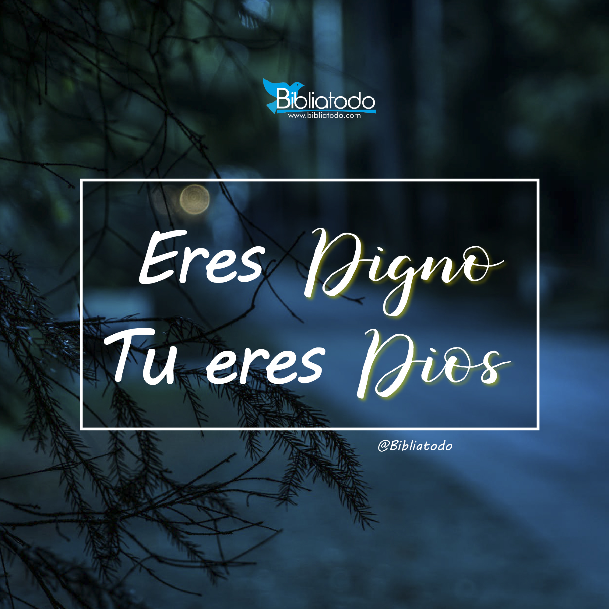 Eres digno tu eres Dios - IMAGENES CRISTIANAS