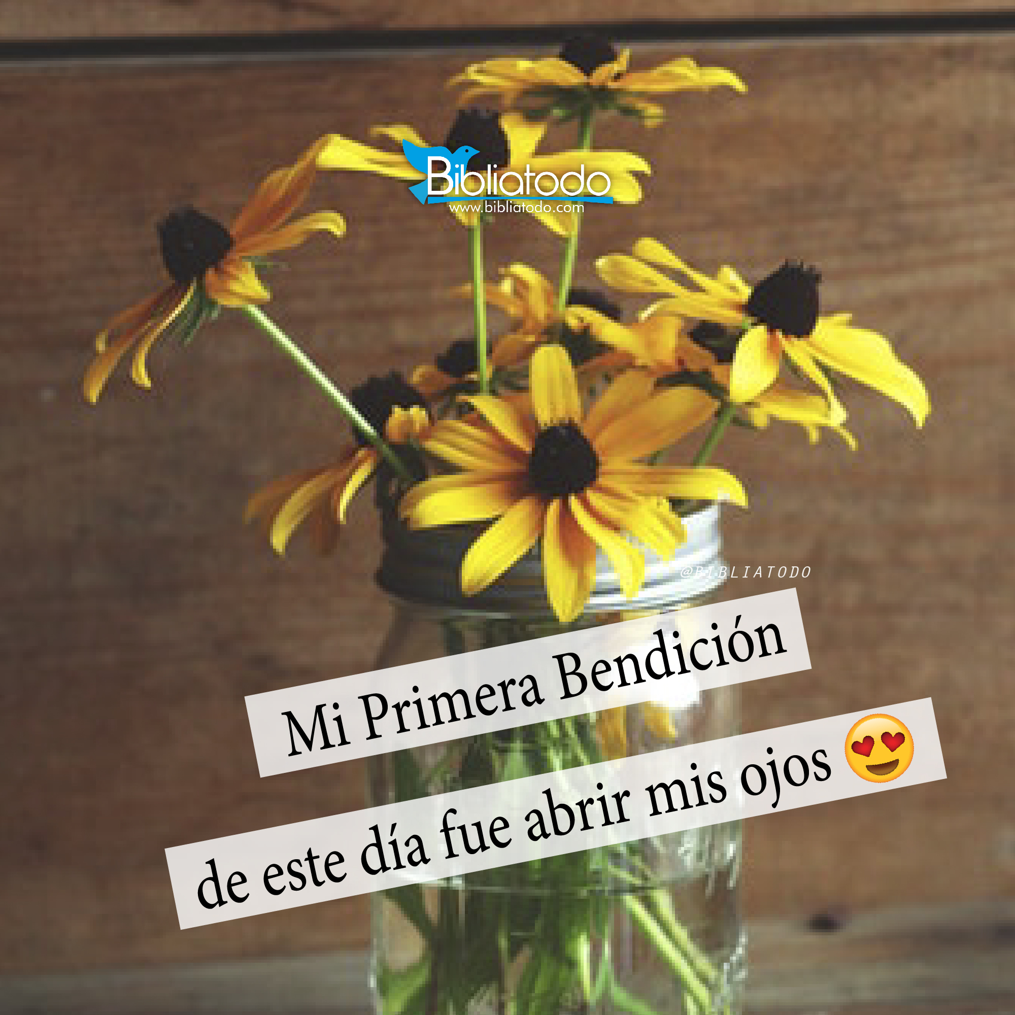 Mi primera bendición de este día fue abrir mis ojos - IMAGENES CRISTIANAS