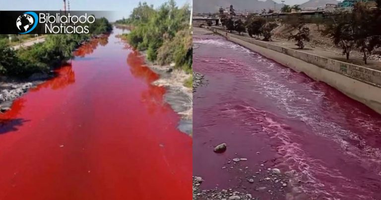 Fenómeno en Perú y Argentina se viraliza como “plaga bíblica” al ...