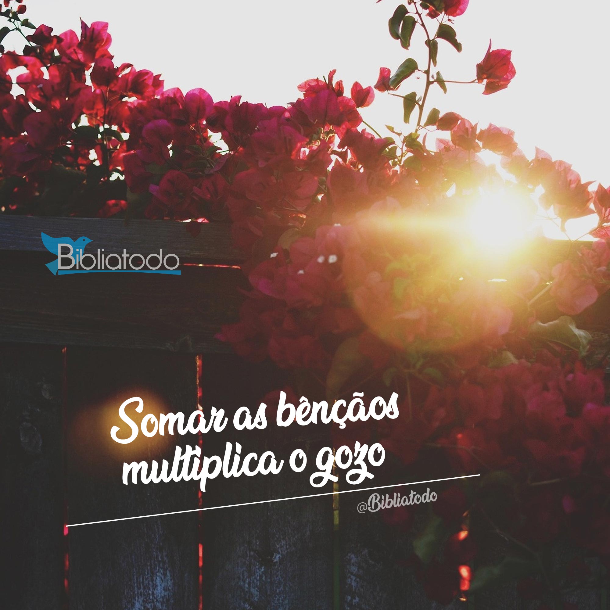 Somar as bênçãos multiplica o gozo - Imagens Cristãs - Imagens Gospel