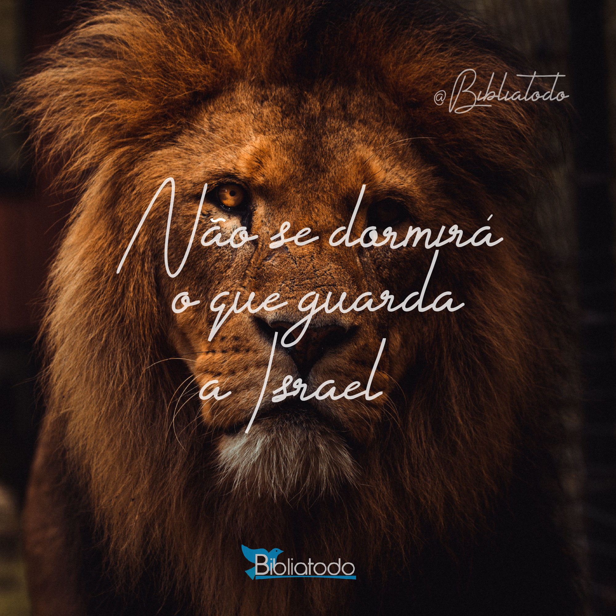 Não se dormirá o que guarda a Israel - Imagens Cristãs - Imagens Gospel