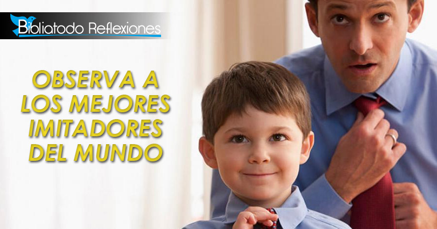 Observa a los mejores imitadores del mundo