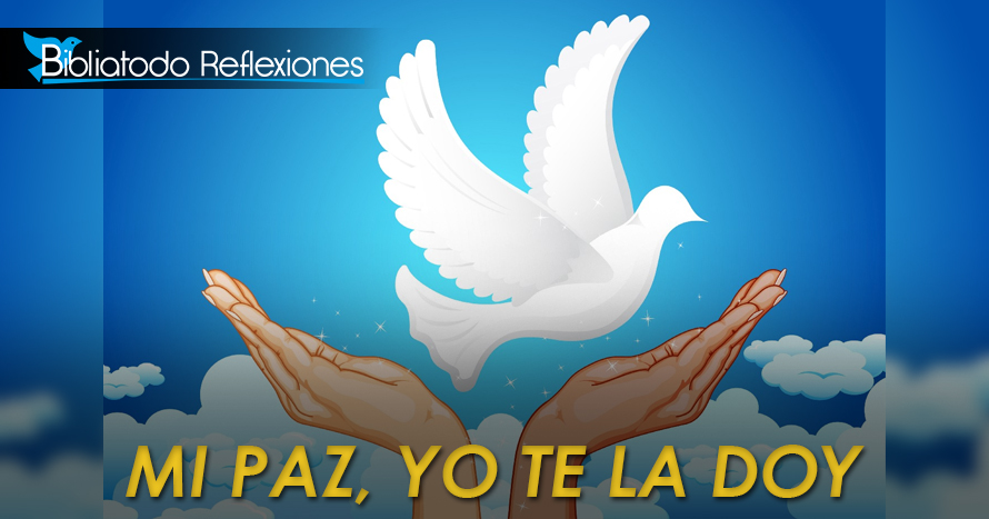 Mi Paz, Yo te la Doy