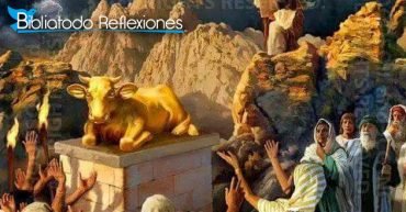 ¡No te hagas un becerro de oro!