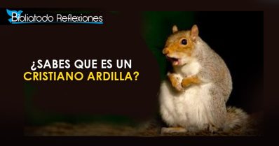 ¿Sabes que es un cristiano ardilla?