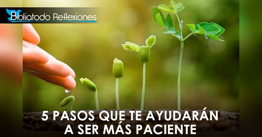 5 pasos que te ayudarán a ser más paciente