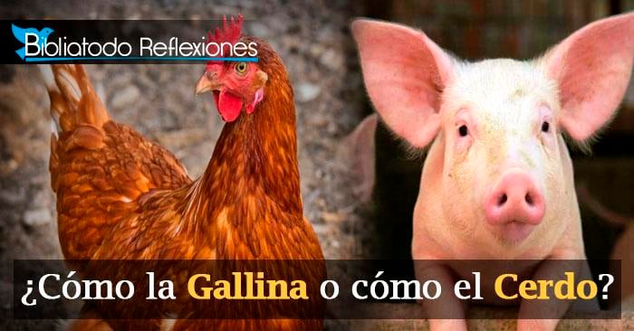 ¿Cómo la gallina o cómo el cerdo?
