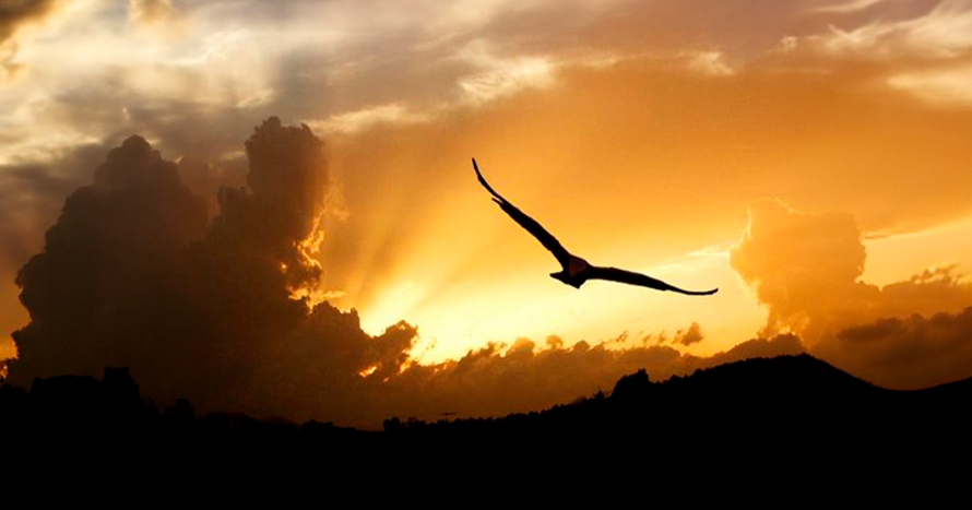 ¿Cuál es el significado del término "Siloh"?