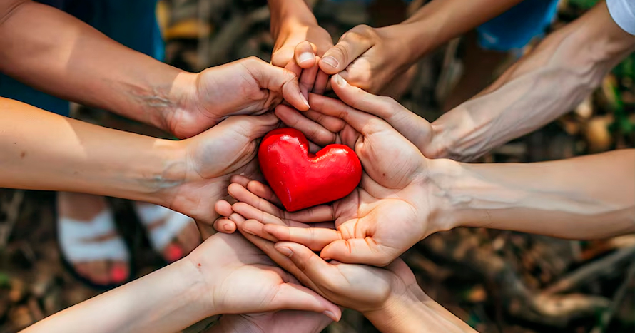 ¿Qué dice la Biblia sobre el altruismo?