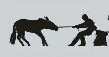 ¿Qué dice la Biblia sobre ser de dura cerviz?