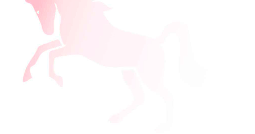 ¿Qué es el argumento del Unicornio Rosa Invisible?