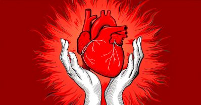 ¿Qué es el corazón?