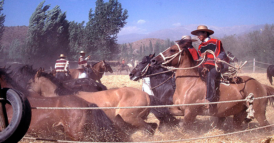 ¿Qué es una trilla?