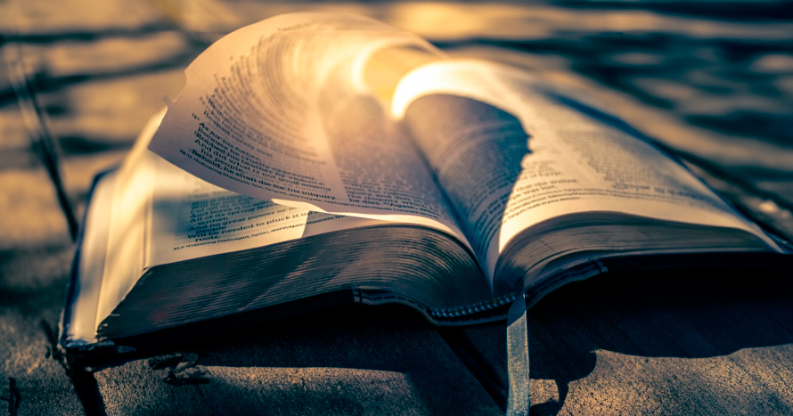 ¿Qué significa predicar la Palabra (2 Timoteo 4:2)?