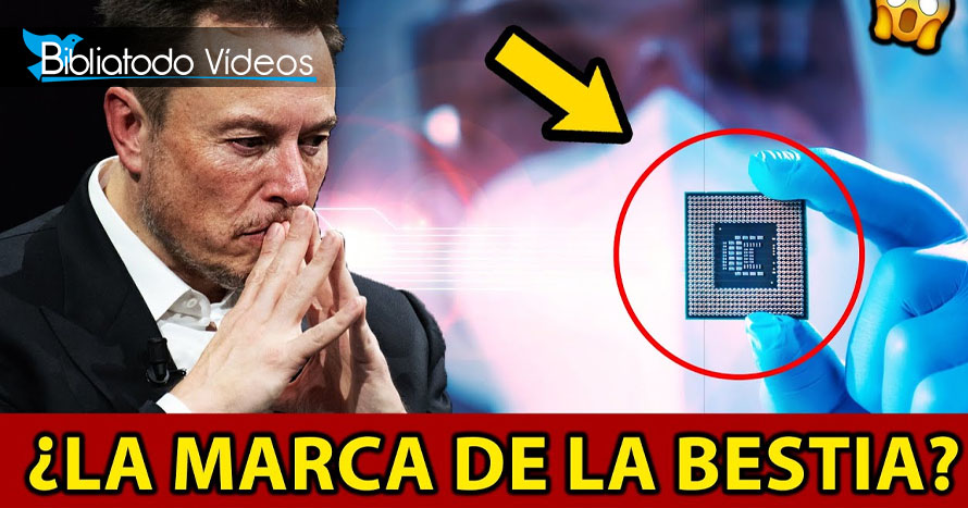 ¡Última Hora! Elon Musk anuncia PRIMER CHIP implantado en la cabeza de ...