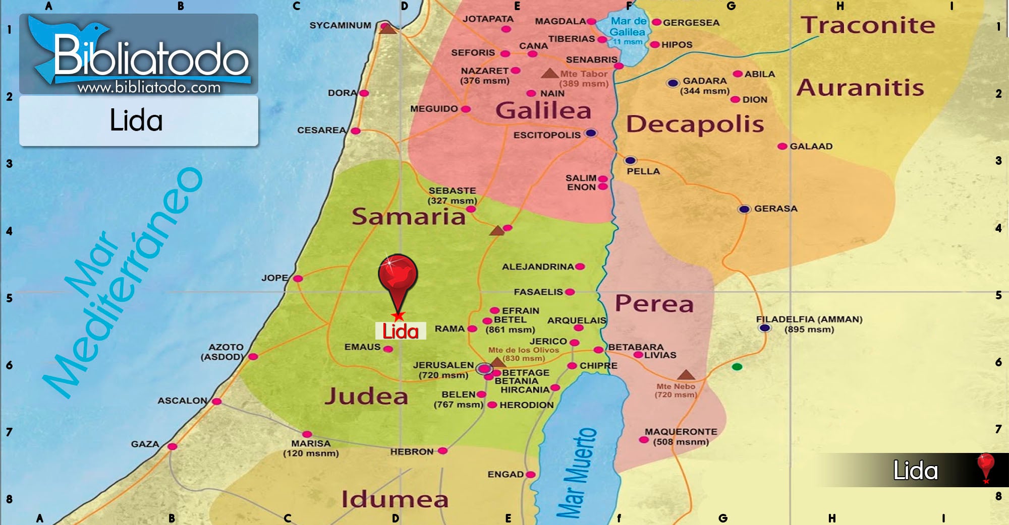 Lida: contienda - Mapa y Ubicación Geográfica