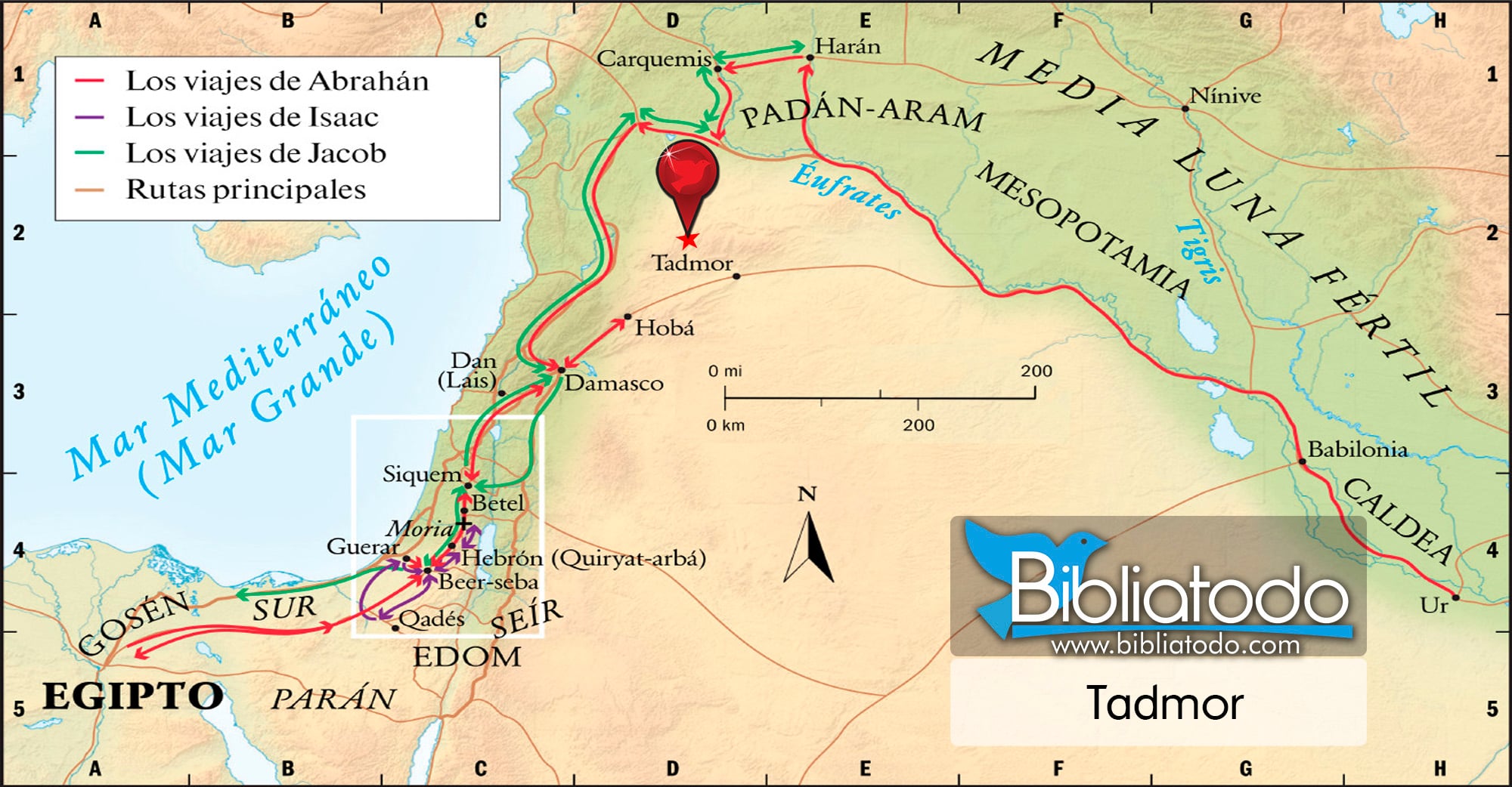 Tadmor (Palmira) - Mapa y Ubicación Geográfica