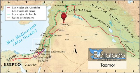 Tadmor (Palmira) - Mapa y Ubicación Geográfica