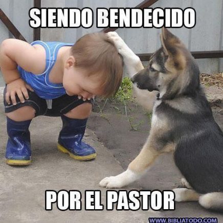 Cuando se te quedo la biblia y el pastor dice usted hermano léame el ...