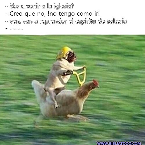 Cuando van a reprender el espíritu de solteria - MEMES CRISTIANOS