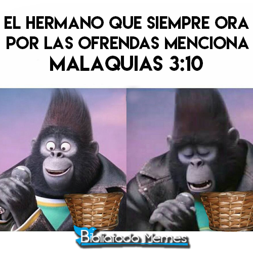 Memes Despedidos