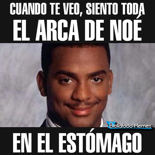 Cuando te veo, siento toda el arca de Noé en mi estómago - MEMES CRISTIANOS