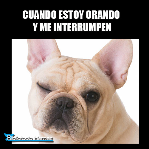 Cuando estoy orando y me interrumpen - MEMES CRISTIANOS