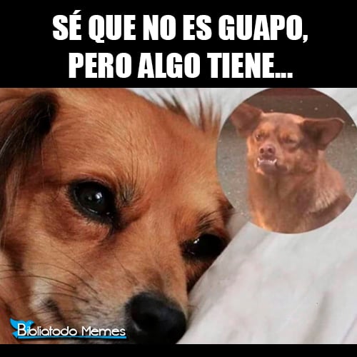 Se que no es guapo pero algo tiene - MEMES CRISTIANOS