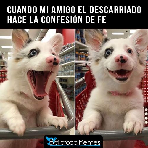 Cuando mi amigo el descarriado hace la confesión de fe - MEMES CRISTIANOS