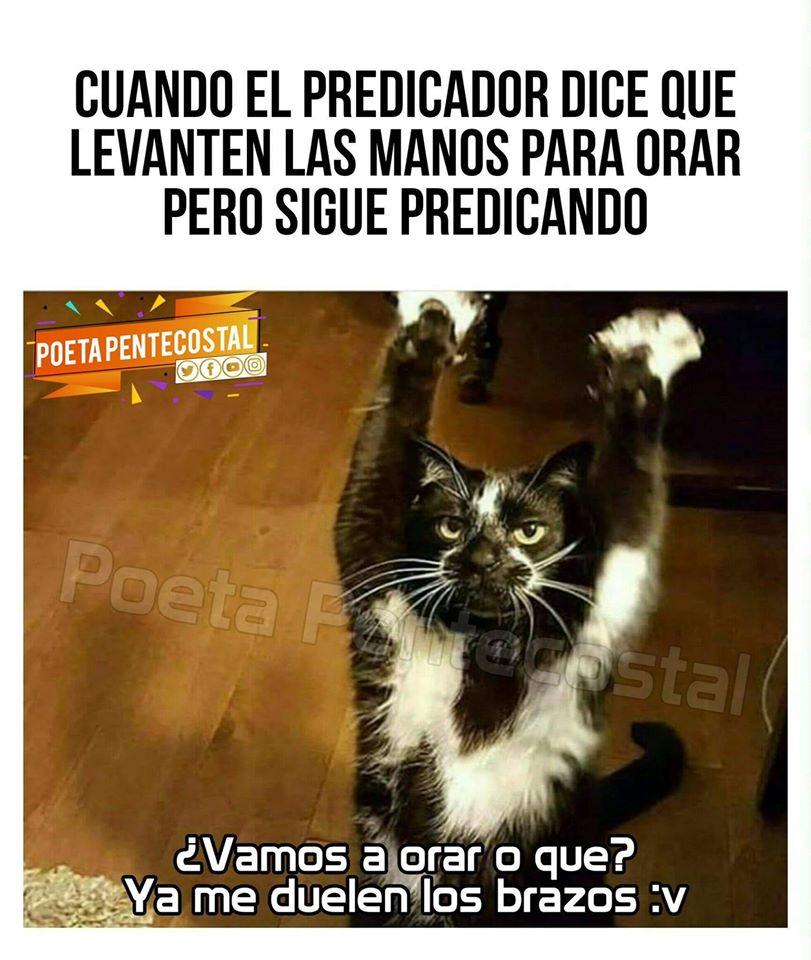 Cuando el predicador dice que levanten las manos para orar - MEMES ...