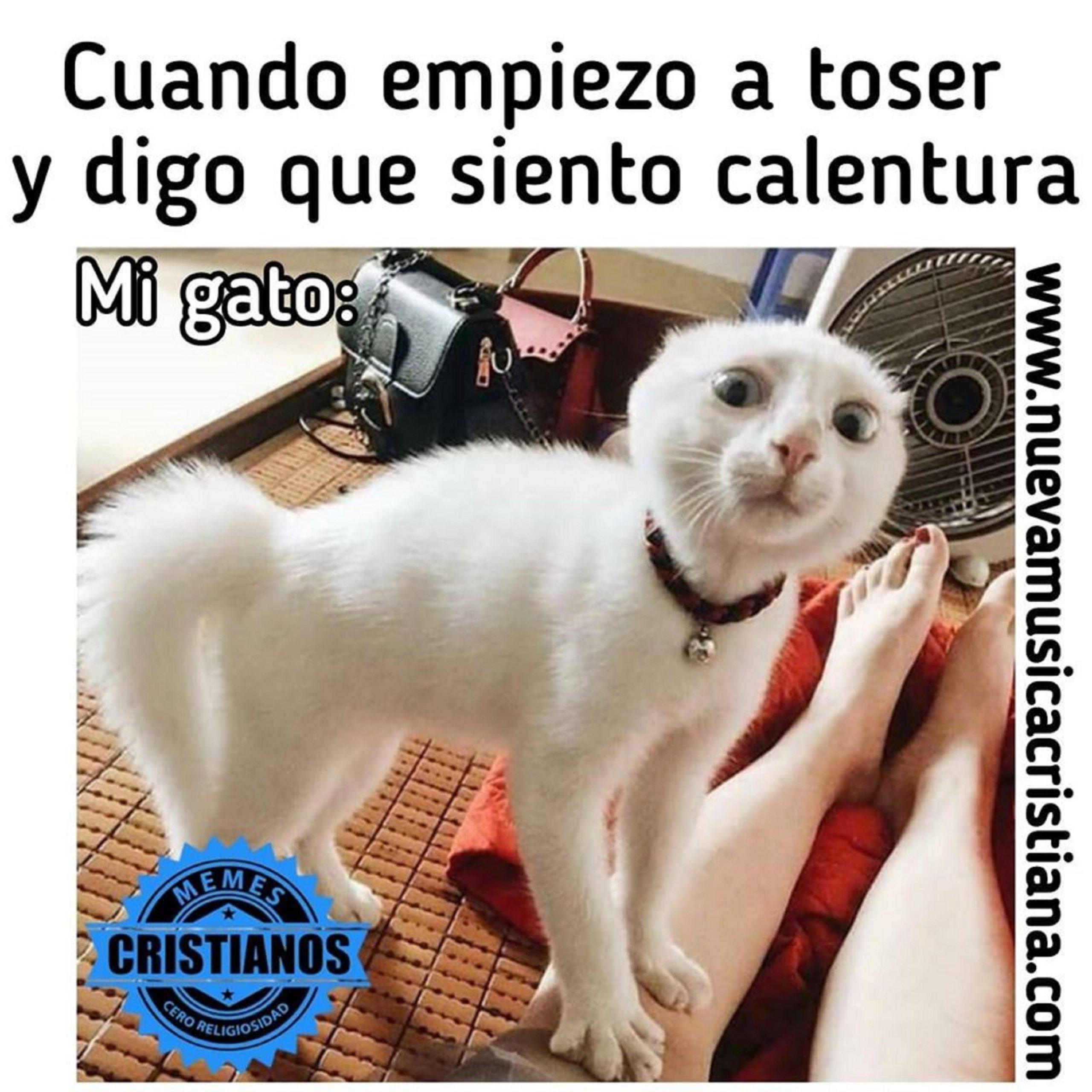 Cuando empiezo a toser y digo que siento calentura - MEMES CRISTIANOS