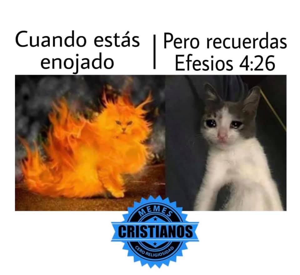 Estas Enojado Meme