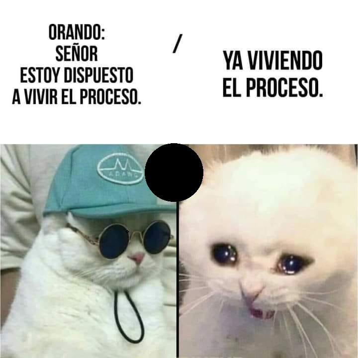 Señor estoy dispuesto a vivir el proceso - MEMES CRISTIANOS