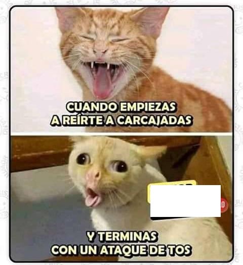 Cuando empiezas a reírte y terminas con un ataque de tos - MEMES CRISTIANOS