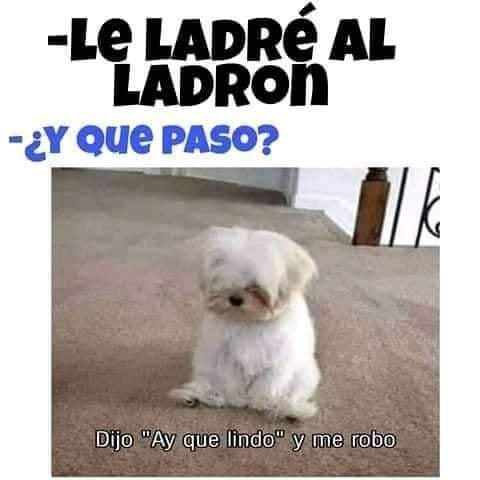 Le ladré al ladrón y me robó - MEMES CRISTIANOS